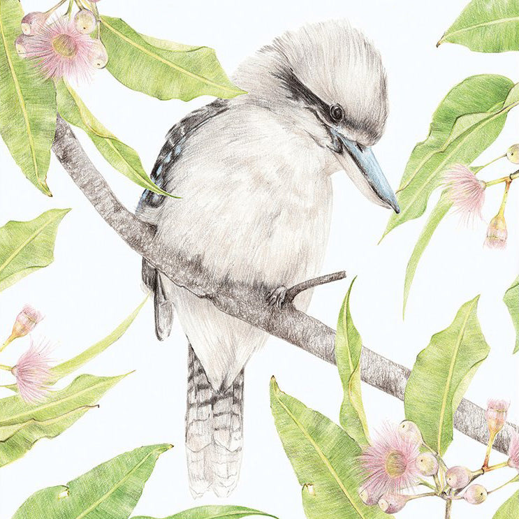 Charlie the Cheeky Kookaburra – Sweets Workshop